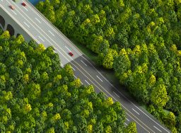 Thomas Jefferson University Campus Maps