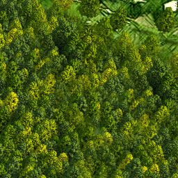 Thomas Jefferson University Campus Maps