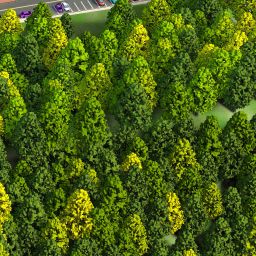 Thomas Jefferson University Campus Maps