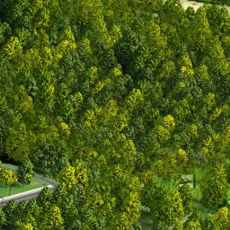 Thomas Jefferson University Campus Maps