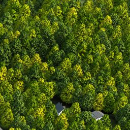 Thomas Jefferson University Campus Maps